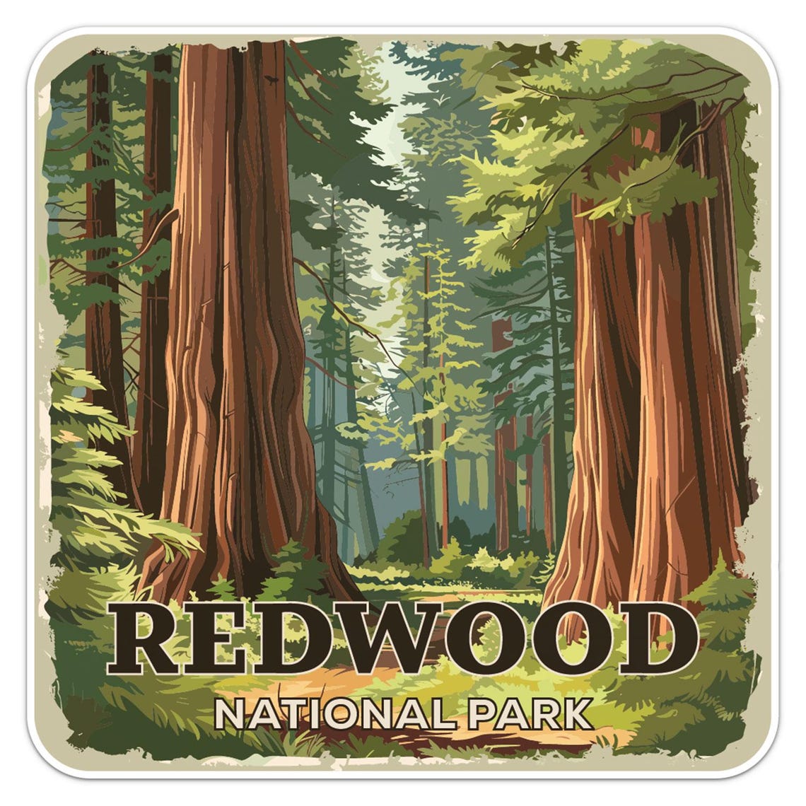 Vintage Redwood National Park Car Bumper Sticker - Etsy