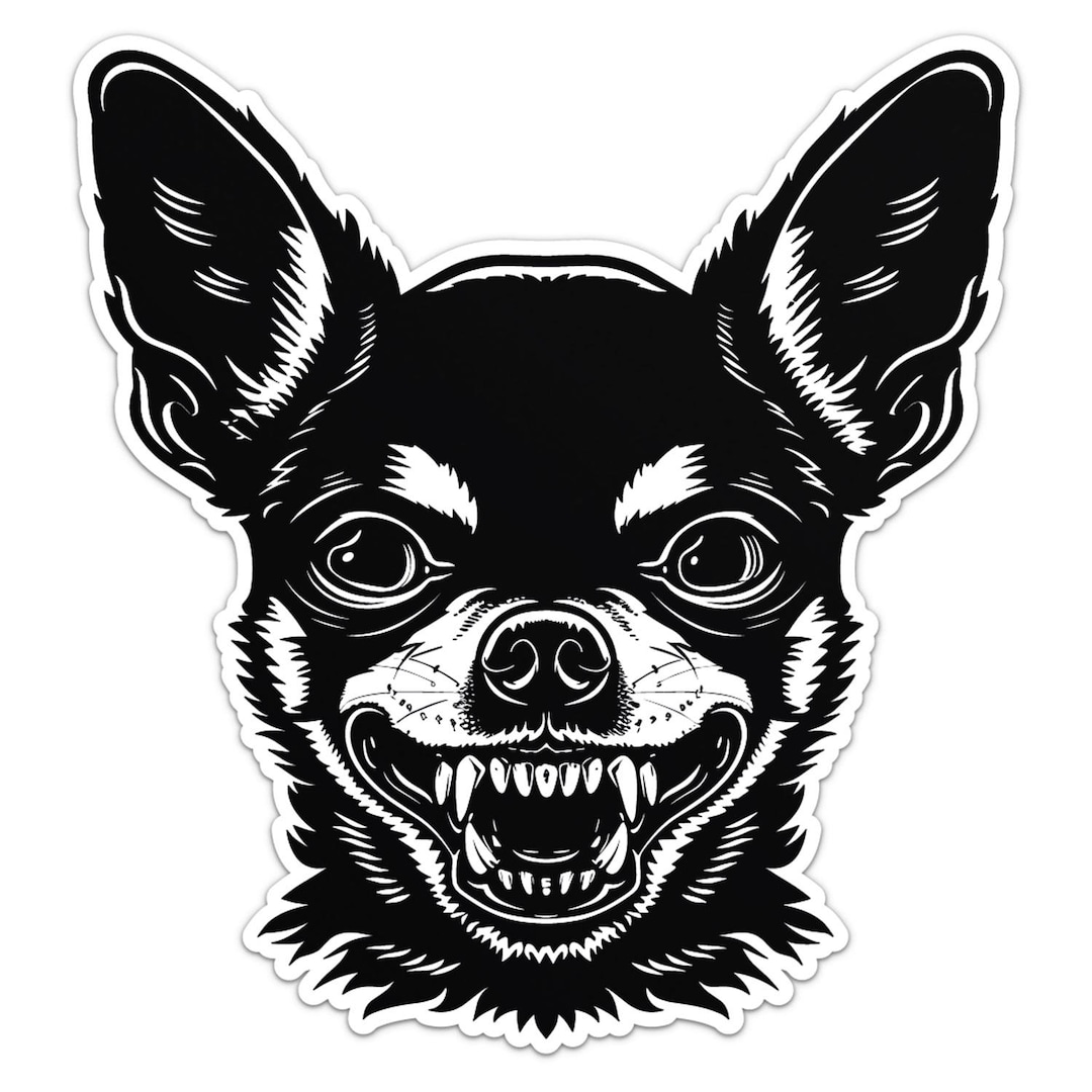Angry Chihuahua Dog Sticker Car Bumper Decal - Etsy