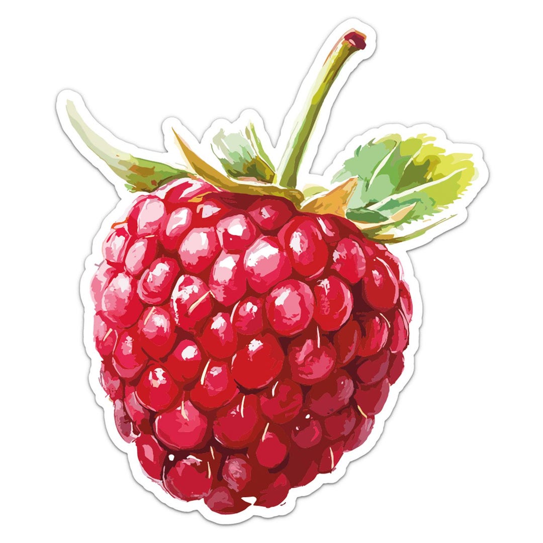 Watercolor Raspberry Sticker Car Bumper Decal - Etsy