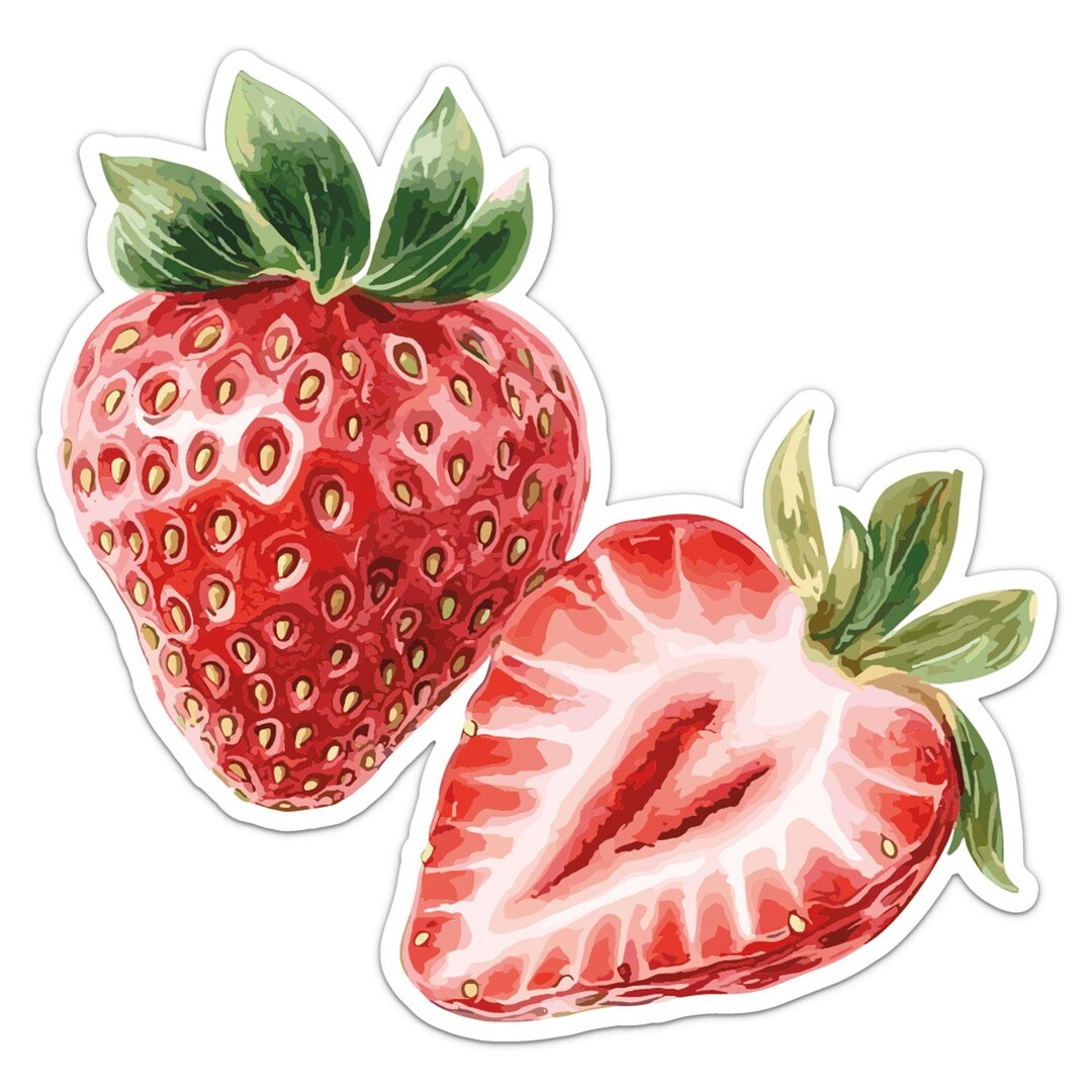 Watercolor Strawberry Sticker Car Bumper Decal - Etsy