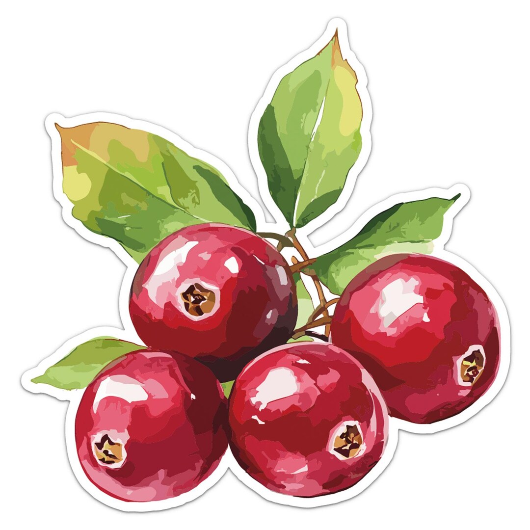 Watercolor Cranberry Sticker Car Bumper Decal - Etsy