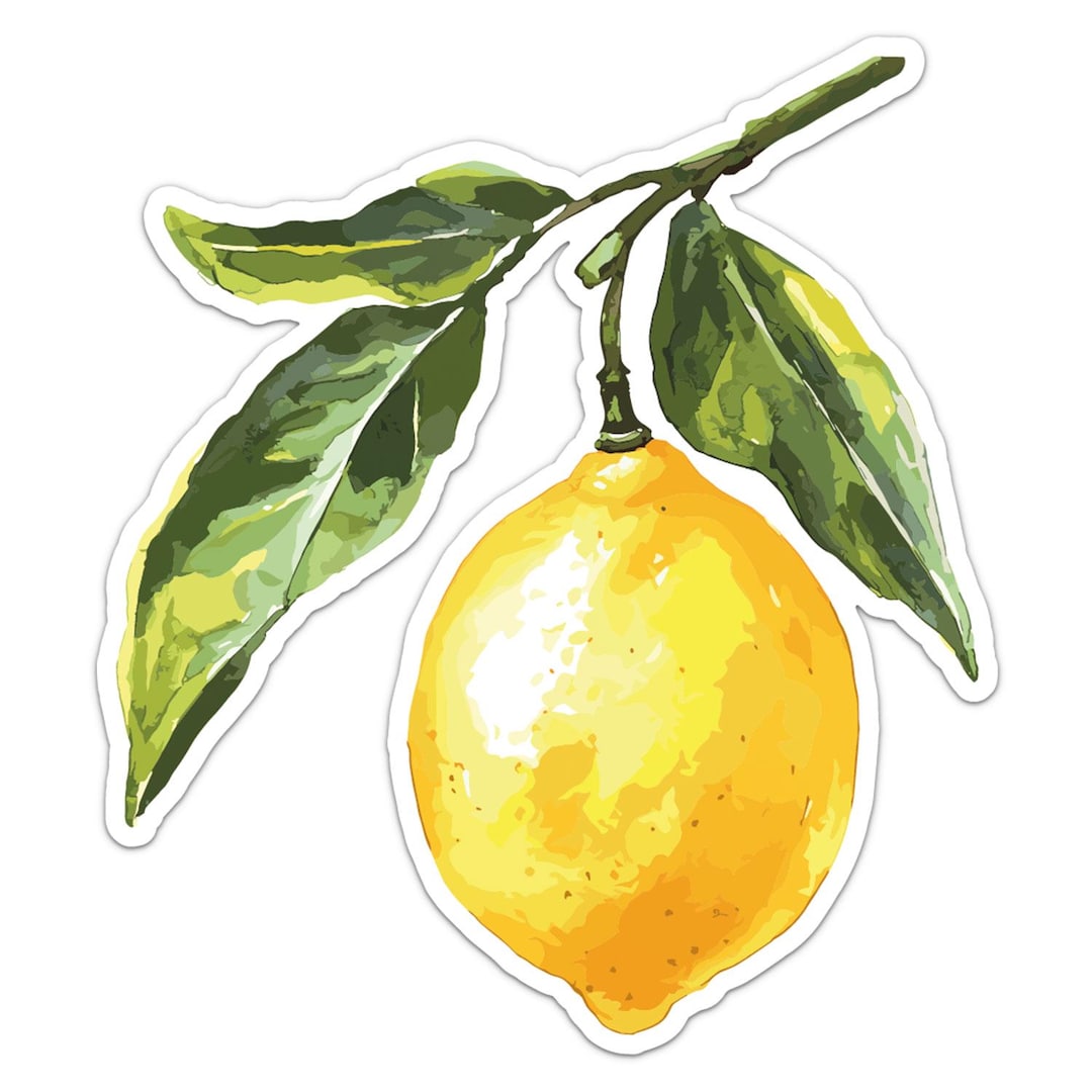 Watercolor Lemon Sticker Car Bumper Decal - Etsy