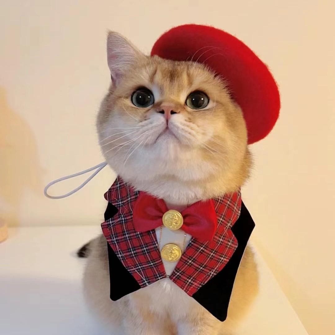 Adorable French Beret for Cats | Handmade Red Wool Pet Hat With Heart ...