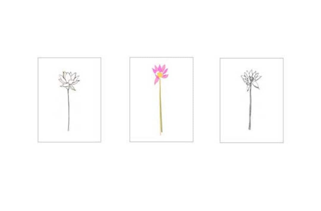 Lotus Flower Floral Note Card Set Boxed Note Card Set Blank - Etsy