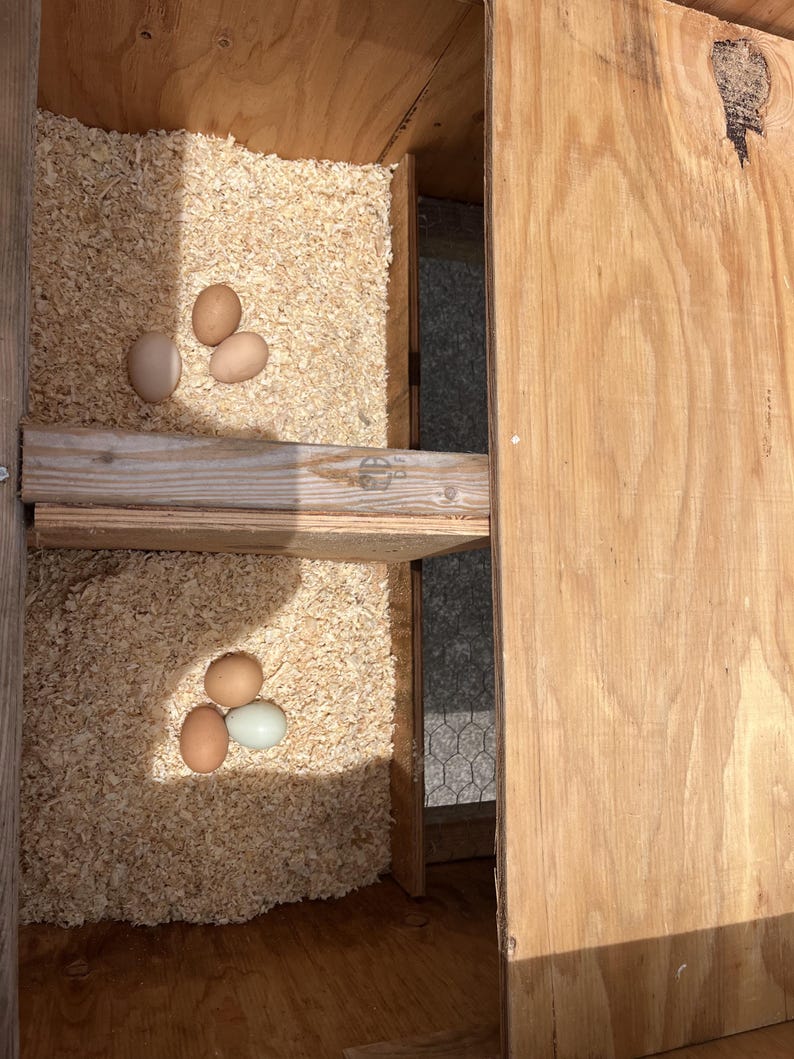 Chicken Tractor Plan Set – 6ft X4ft X4ft With Instant PDF Download ...