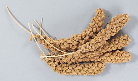 Organic Millet - Etsy