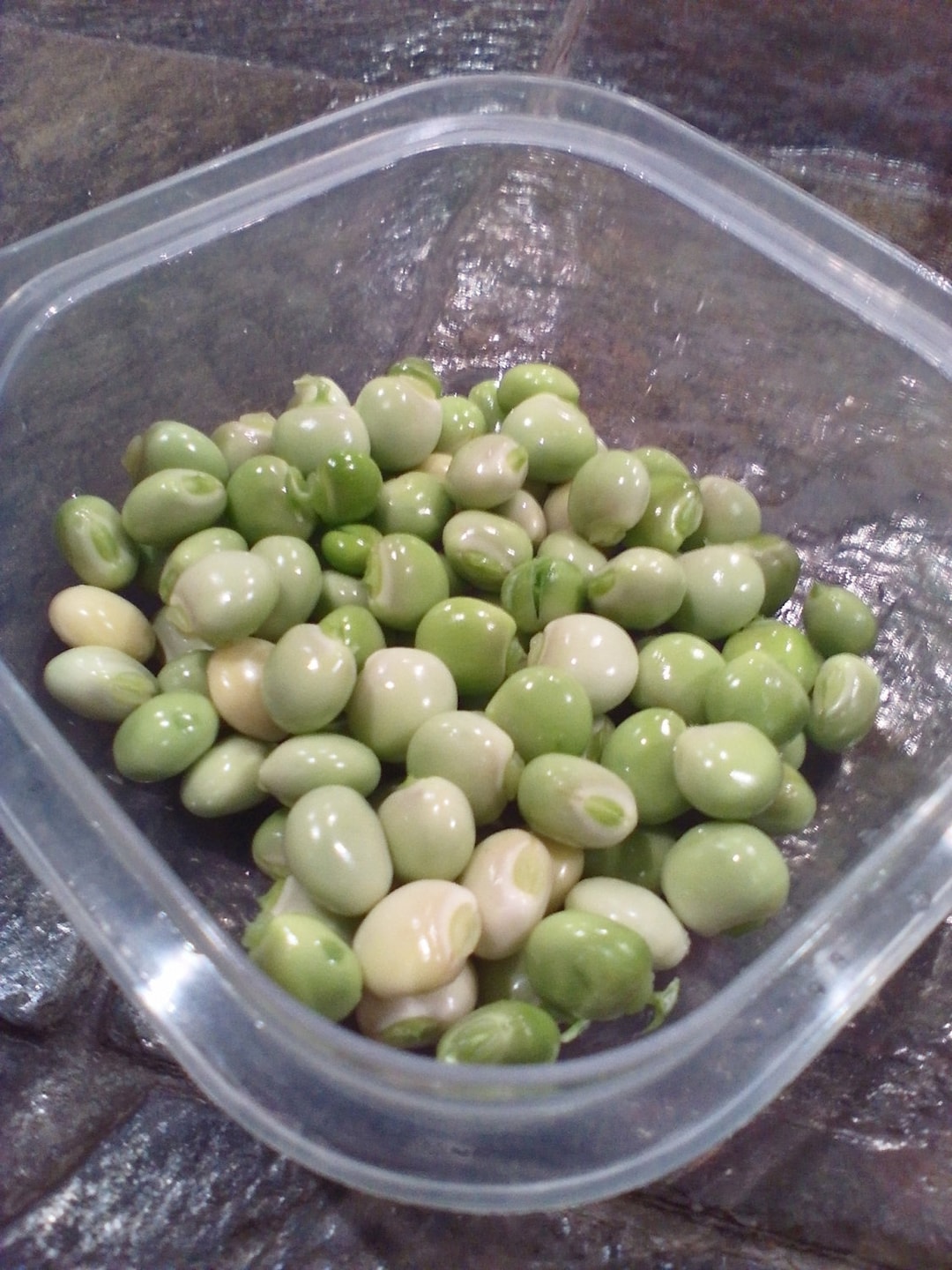 Gandules Verdes Pigeon Pea Congo Pea - Etsy