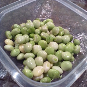 Gandules Verdes Pigeon Pea Congo Pea - Etsy