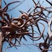 Miniature BULL HORNS - Etsy