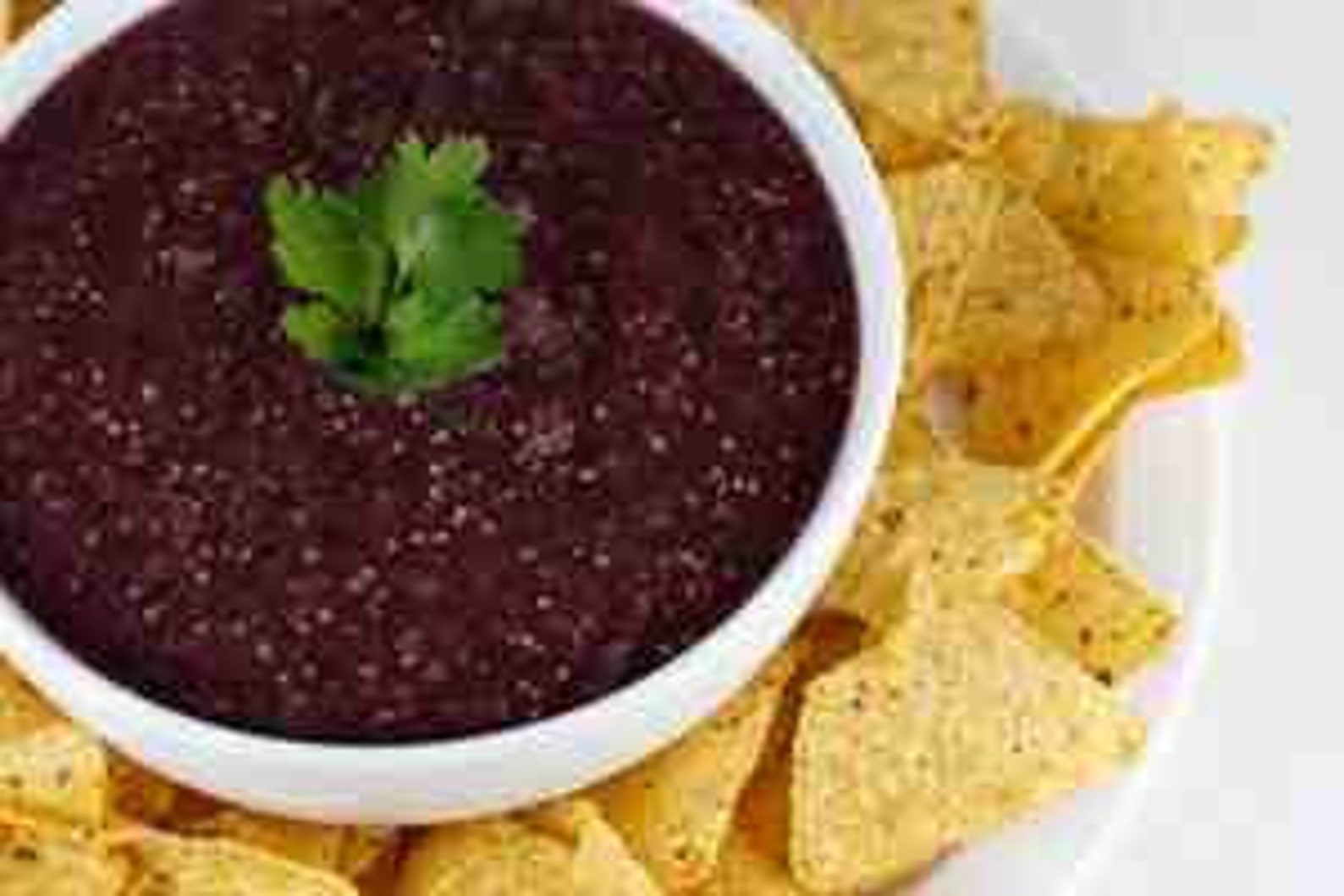 Purple Tomatillo Seeds PURPLE SALSA | Etsy