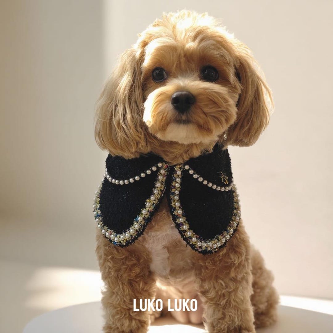Handmade Tweed Pearl Collar Cat Dog Dress, Pet Wedding Outfit, Formal ...