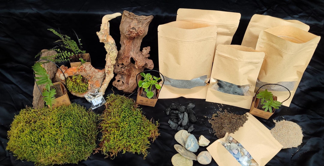 Complete Terrarium Creation Kit - Create Your Own Custom Plant World - Etsy