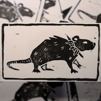 Rat Sticker - Etsy