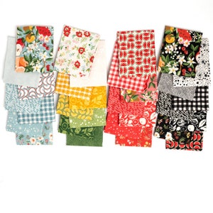 Fruit Loop Layer Cake by Basicgrey for Moda Fabrics 30730LC 42 10 Fabric Squares - Etsy