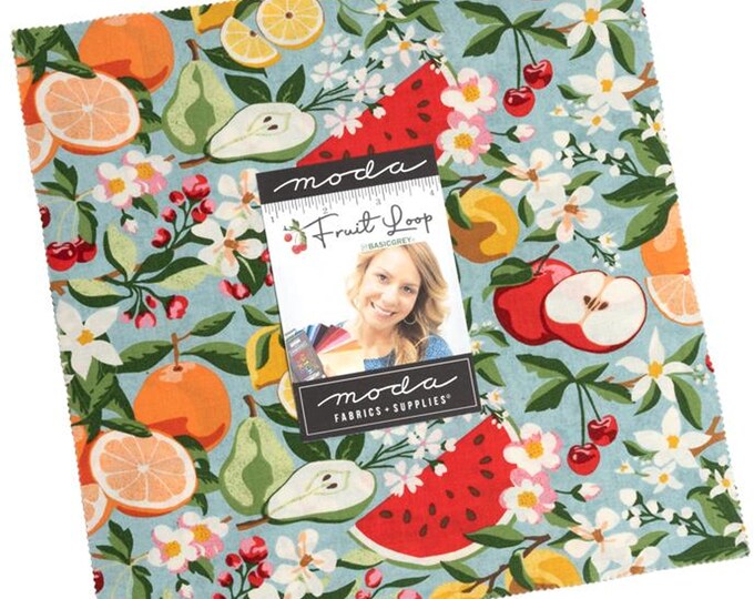 Fruit Loop Layer Cake by Basicgrey for Moda Fabrics 30730LC 42 10" Fabric Squares - Etsy