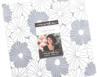 Superbloom Layer Cake by Robin Pickens for Moda Fabrics 48780LC 42 10 ...