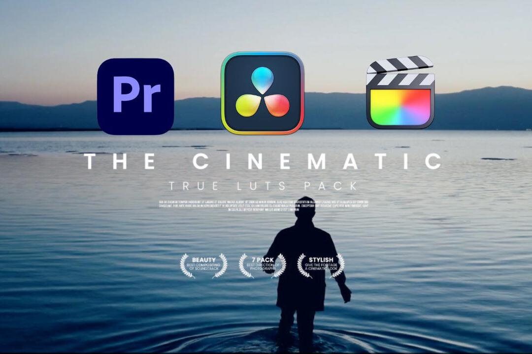 Cinematic Lut premier Pro, Davinci Resolve, Final Cut Pro - Etsy