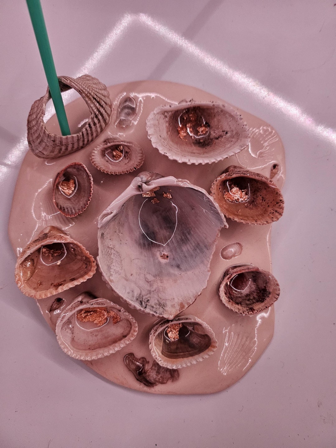 Pot of Gold Seashell Palette - Etsy