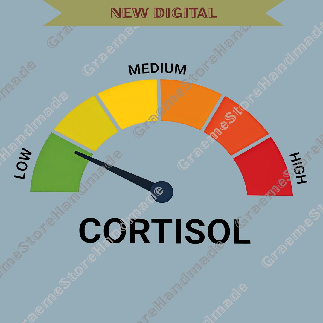 High Cortisol Low Cortisol Png, Relatable Nervous System Graphic Png ...