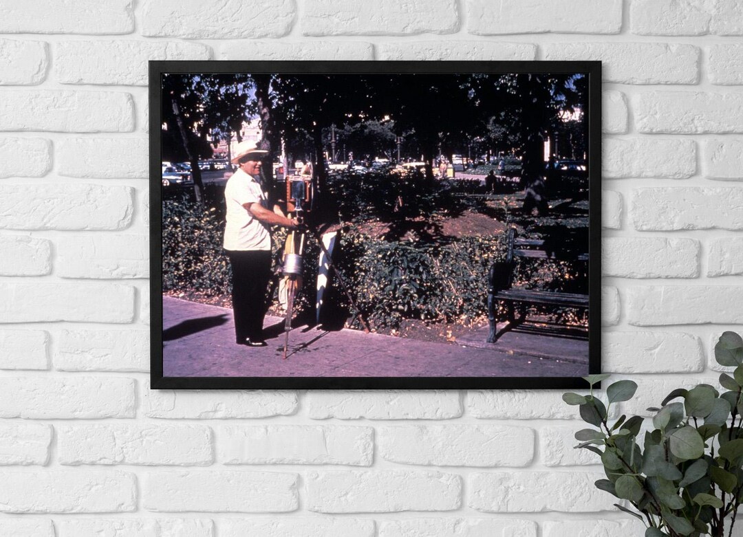 Framed Poster Cuba, Cuban Photographer Havana 1960s Art, Park Scene ...