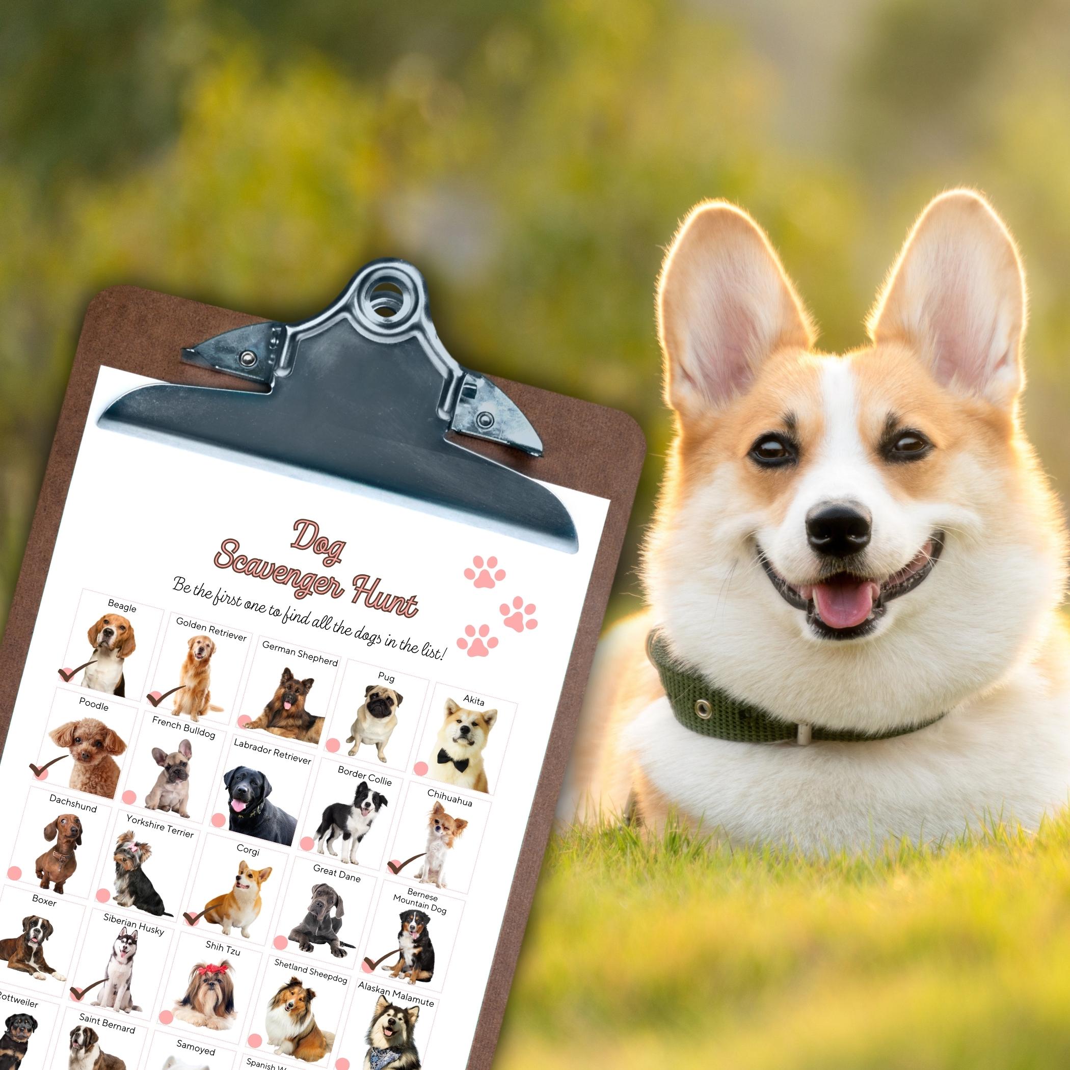 Dog Scavenger Hunt Printable Outdoor Treasure Hunt for Kids Camping ...