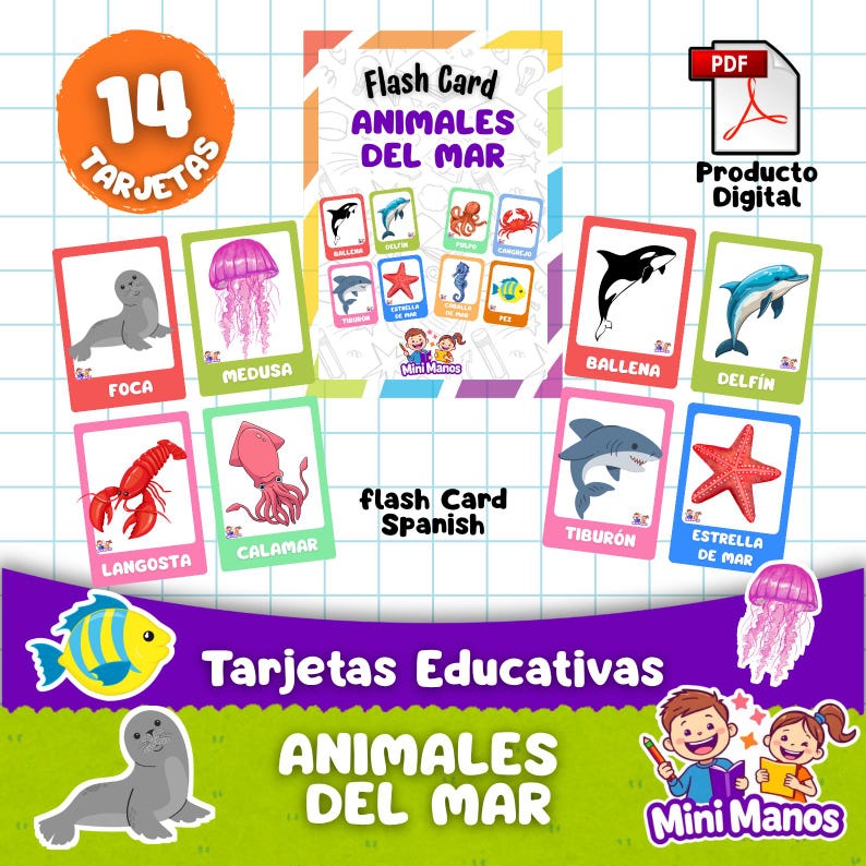 Flash Card Animales Del Mar | Spanish Vocabulary Flashcards | Material ...