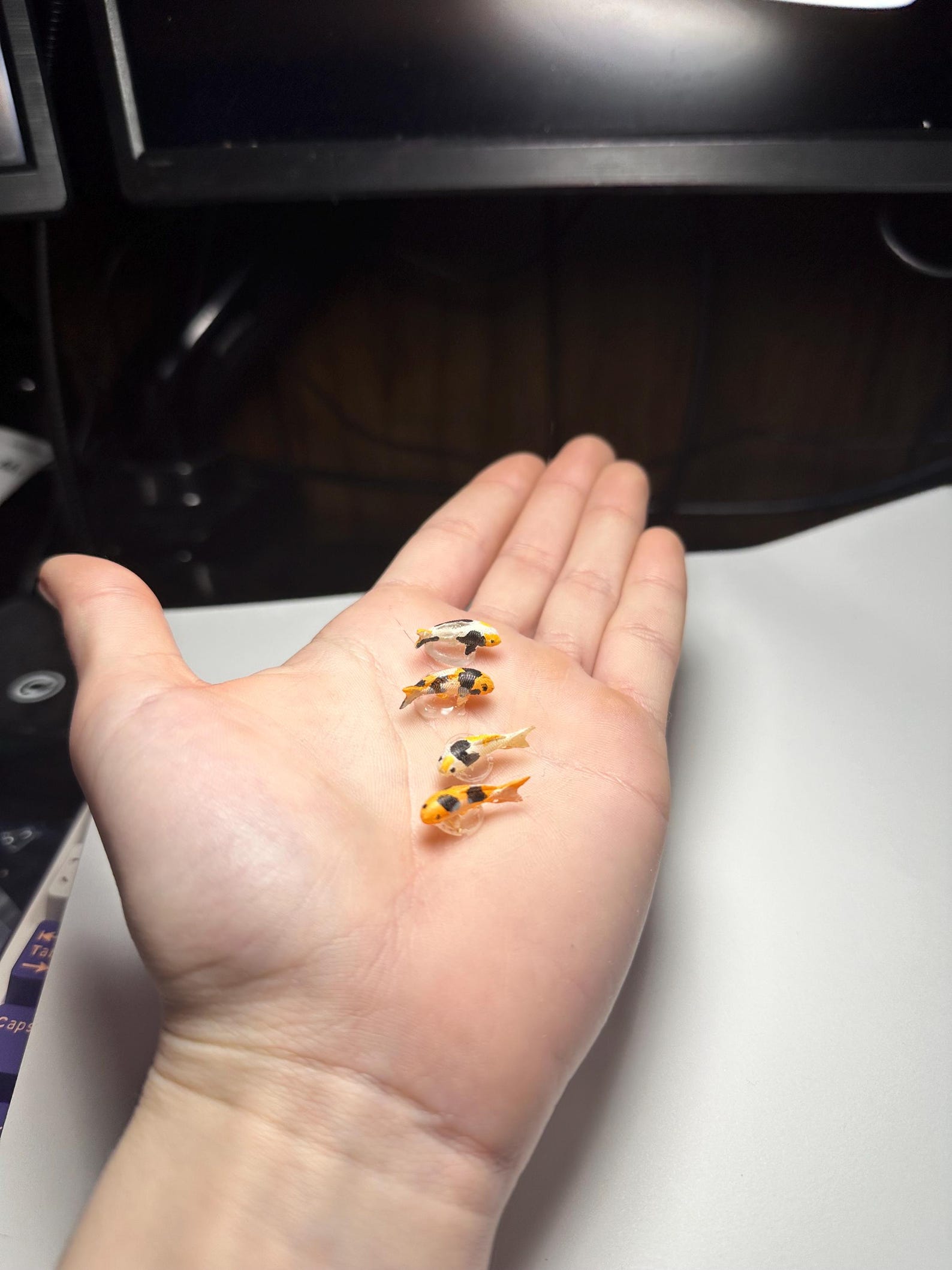 Miniverse Koi Fish Replica - Etsy