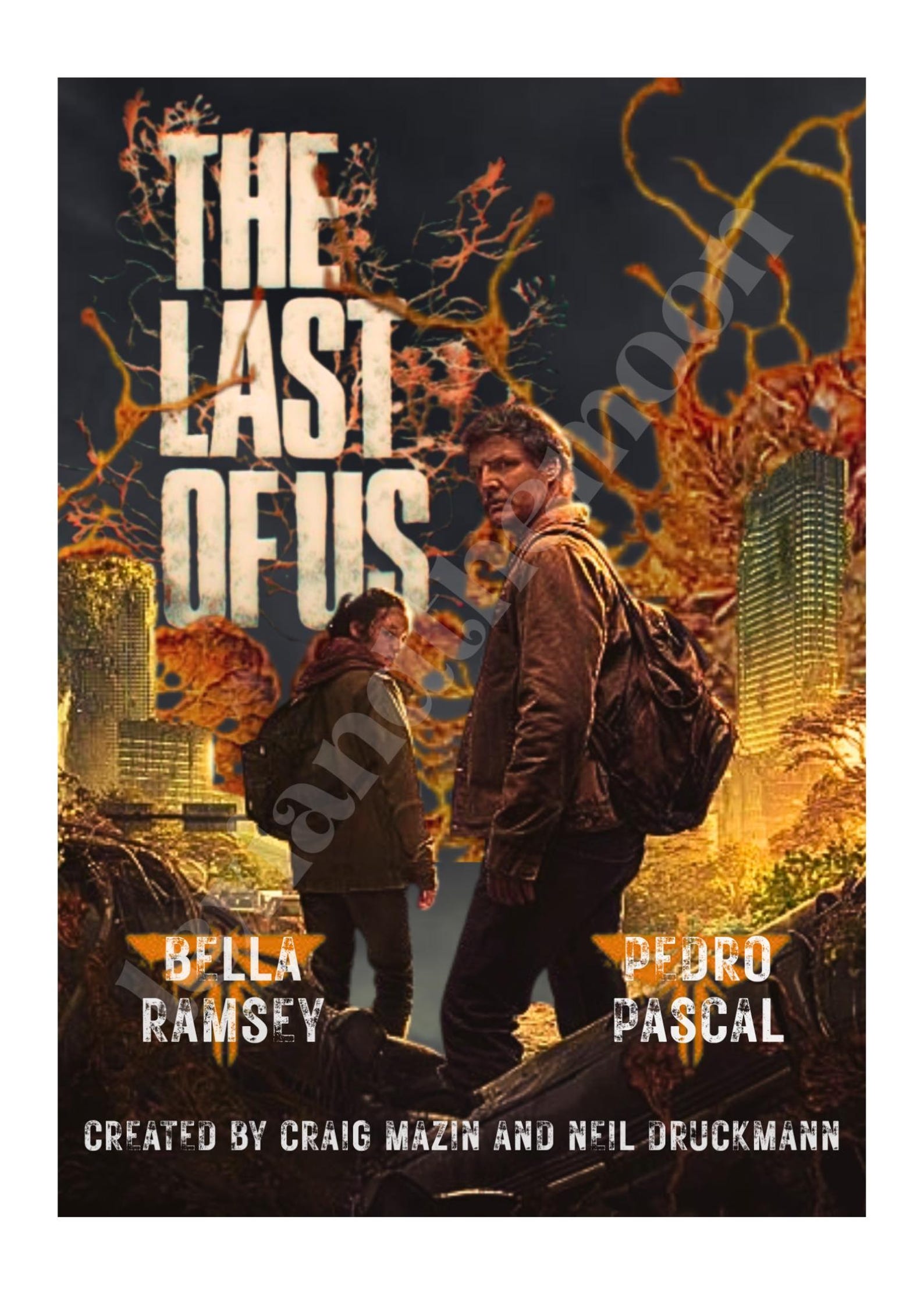 PRINTED* the Last of Us TLOU Hbo Tv Series Poster Wall Art | Joel ...