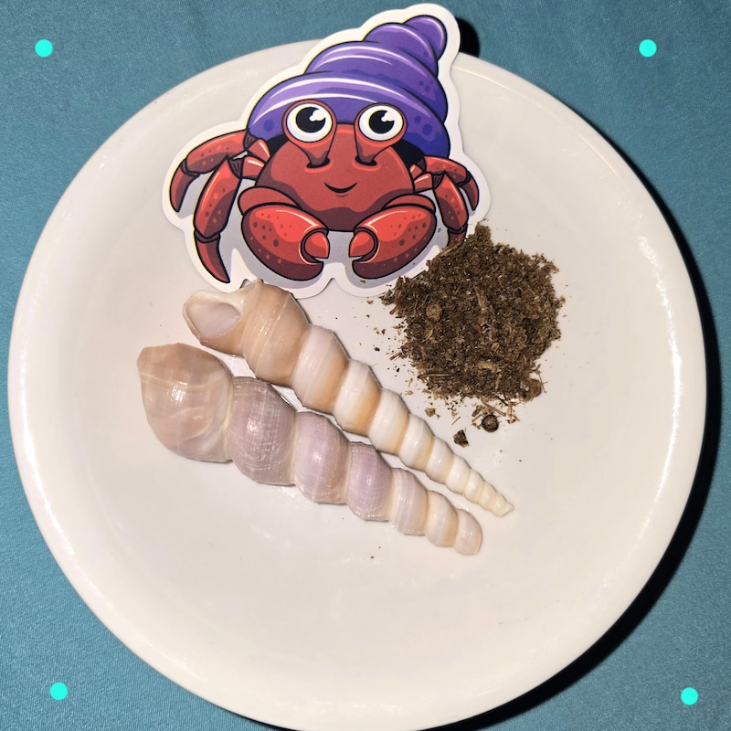 Crabbo Limoneta - Etsy Canada