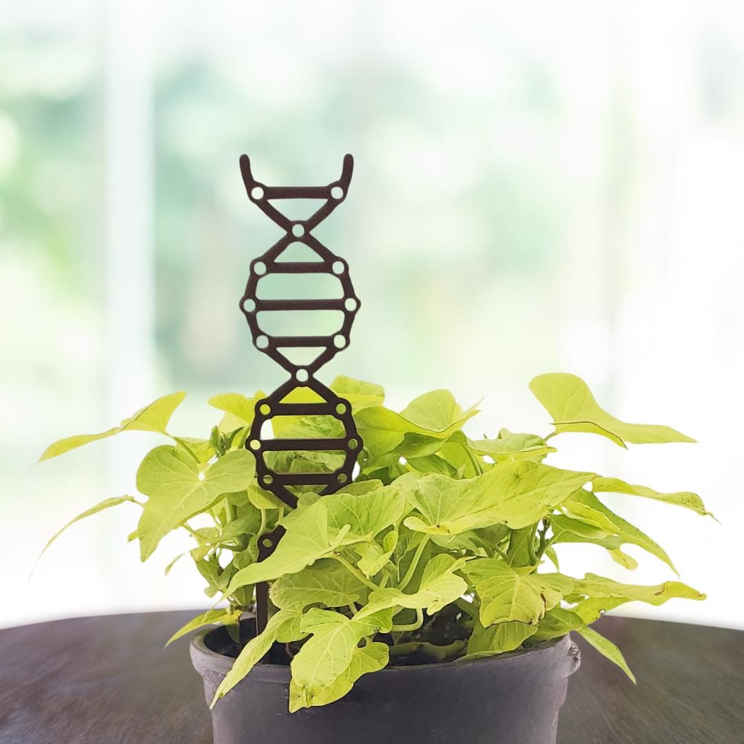 Anatomy Art Potted Plant Trellis Stakes Garden Decoration - Zen ...