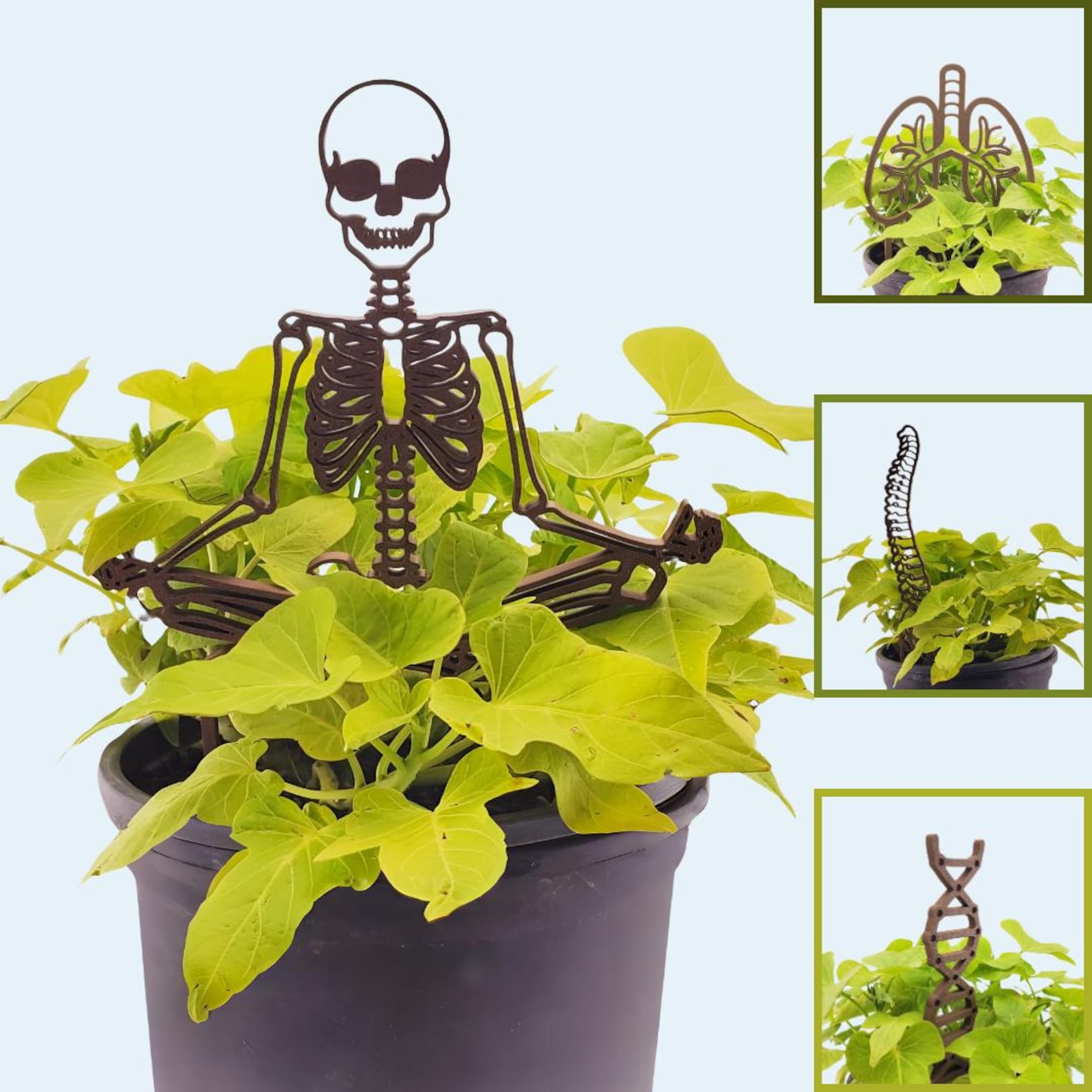 Anatomy Art Potted Plant Trellis Stakes Garden Decoration - Zen ...