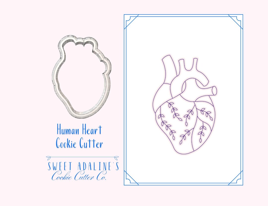 Human Heart Cookie Cutter: Halloween Baking & Anatomy Decor - Etsy