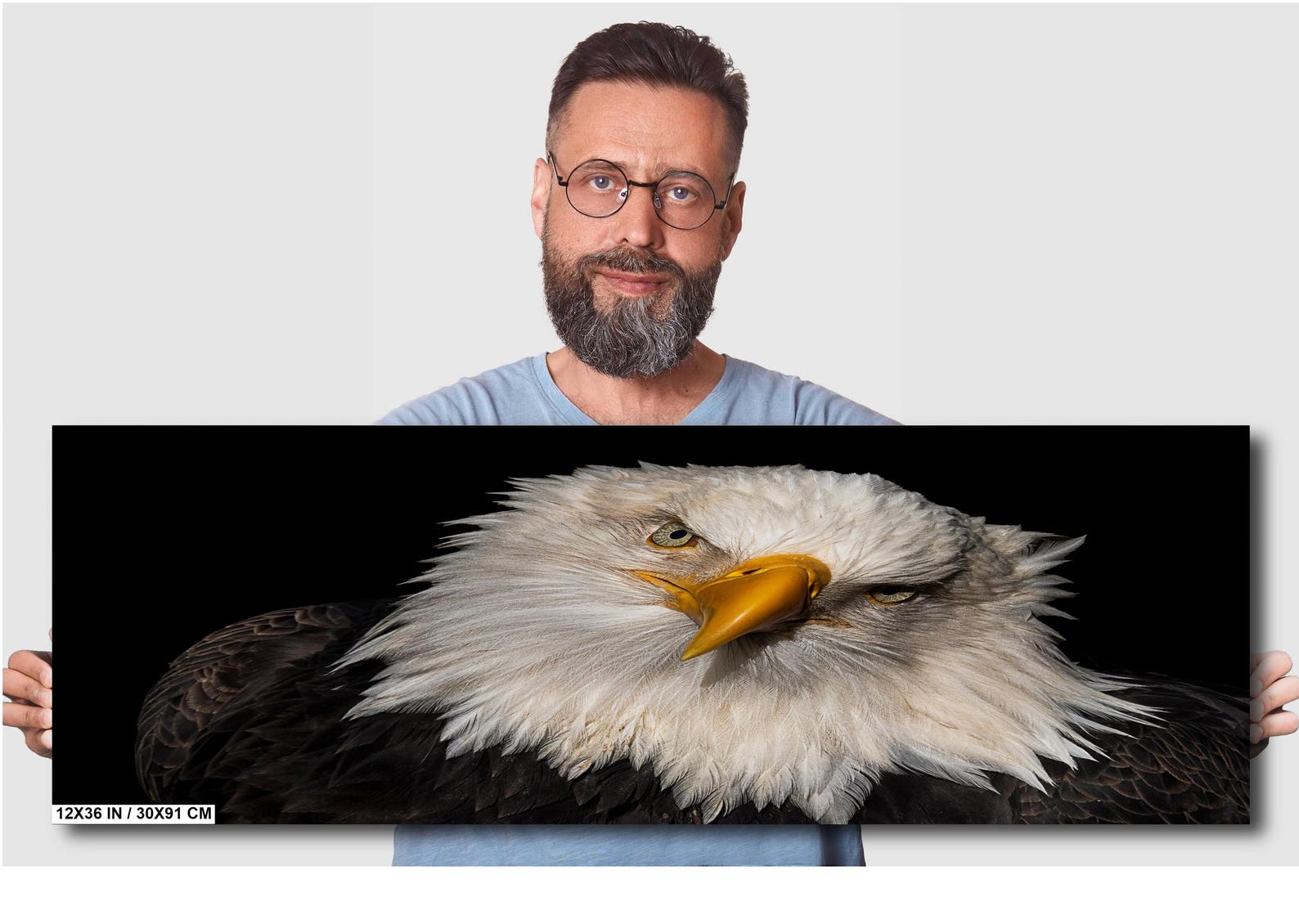 Piercing Gaze: the Majesty of a Bald Eagle, Bald Eagle Portrait, Sitka ...