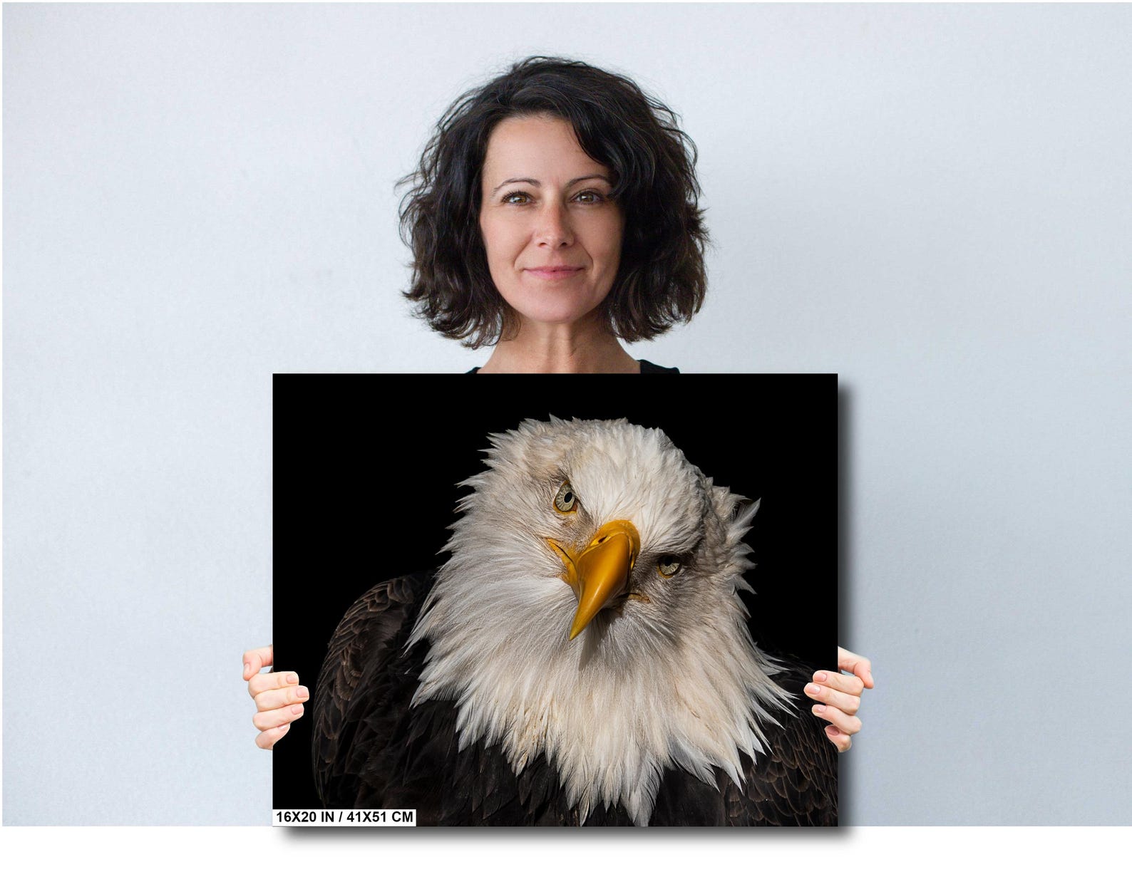 Piercing Gaze: the Majesty of a Bald Eagle, Bald Eagle Portrait, Sitka ...