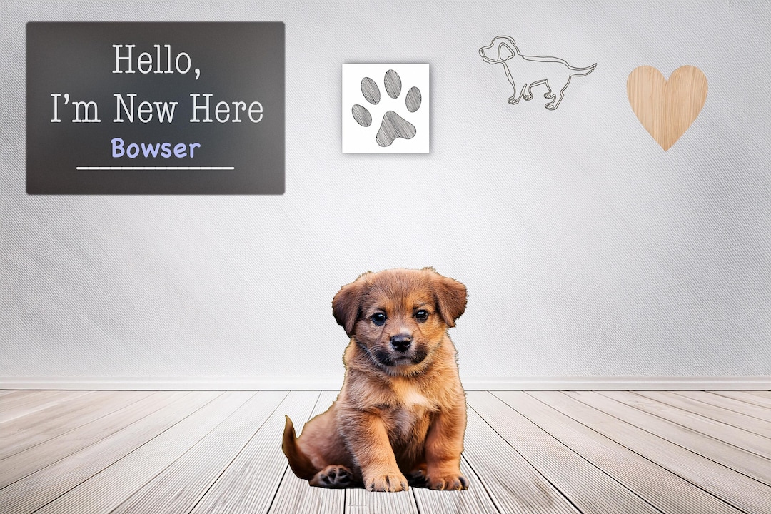 New Puppy Backdrop, Dog Adoption, Gotcha Day Digital Backdrop, Simple ...