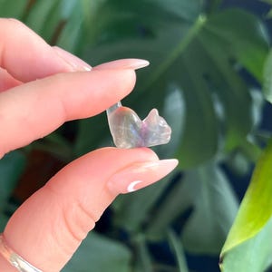 Rainbow Fluorite Mini Carvings | Bat, Skull, Kitty or Elephant ...