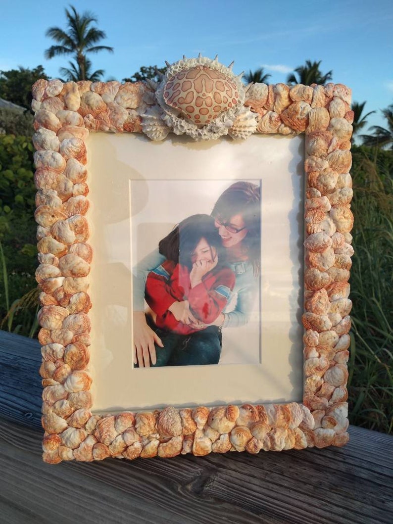 Seashell Encrusted Frame Photo Picture 10x8 White Calico Crab Orange ...