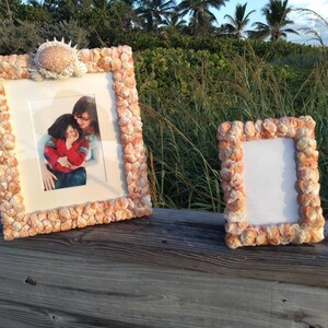 Seashell Encrusted Frame Photo Picture 10x8 White Calico Crab Orange ...