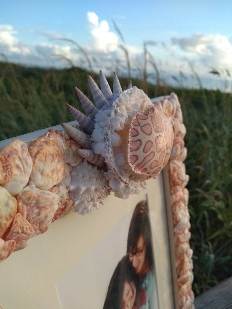 Seashell Encrusted Frame Photo Picture 10x8 White Calico Crab Orange ...