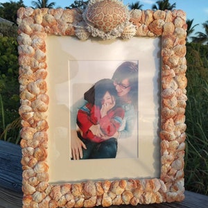 Seashell Encrusted Frame Photo Picture 10x8 White Calico Crab Orange ...