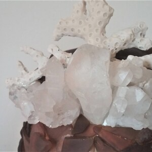 Seashell Encrusted Bust Statue Sea Shell Covered Woman Lady Mermaid ...