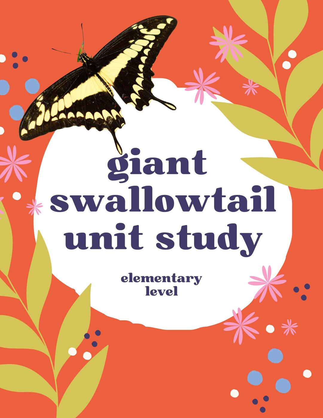Giant Swallowtail Butterfly Unit Study, Butterfly Unit Plan, Butterfly ...
