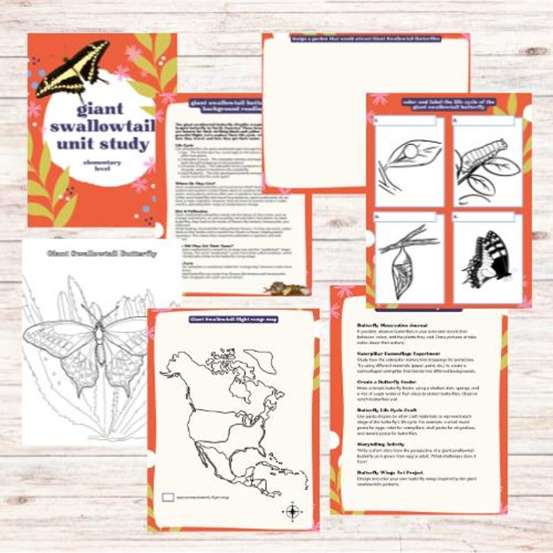 Giant Swallowtail Butterfly Unit Study, Butterfly Unit Plan, Butterfly ...