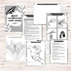 Giant Swallowtail Butterfly Unit Study, Butterfly Unit Plan, Butterfly ...