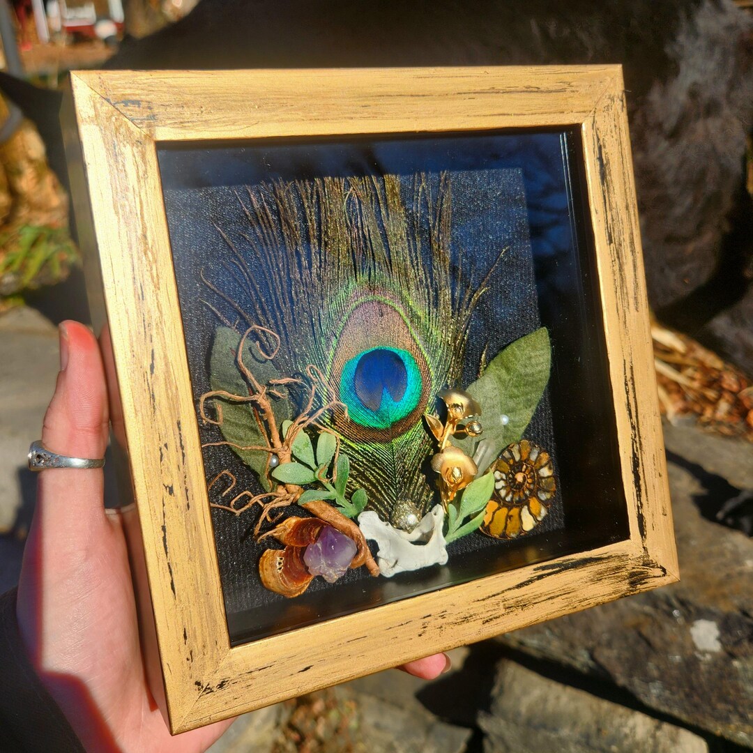 Peacock Feather Decorative Shadow Box - Etsy