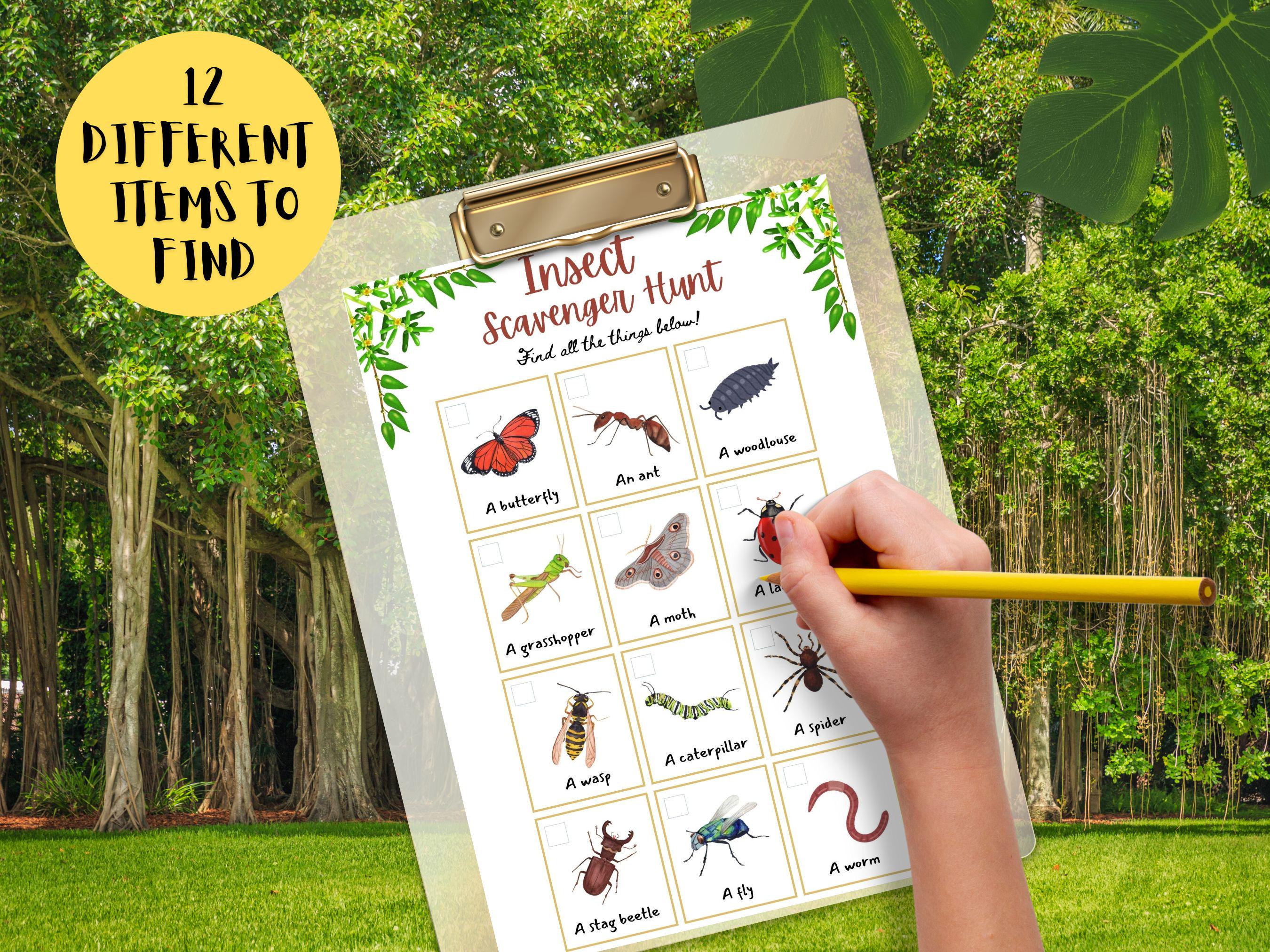Insect Scavenger Hunt, Printable Activities, Kids Mini-beast Search ...