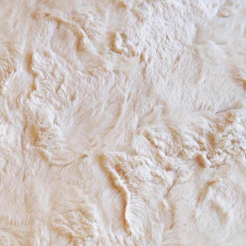 4-piece Coordinated Furry Throw Pillows Bundle 450g Inserts 18"x18" - Etsy