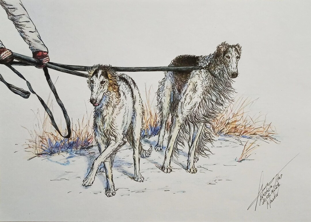 Two Russian Borzois. Pencil Drawing on Paper. Winter Landscape in ...