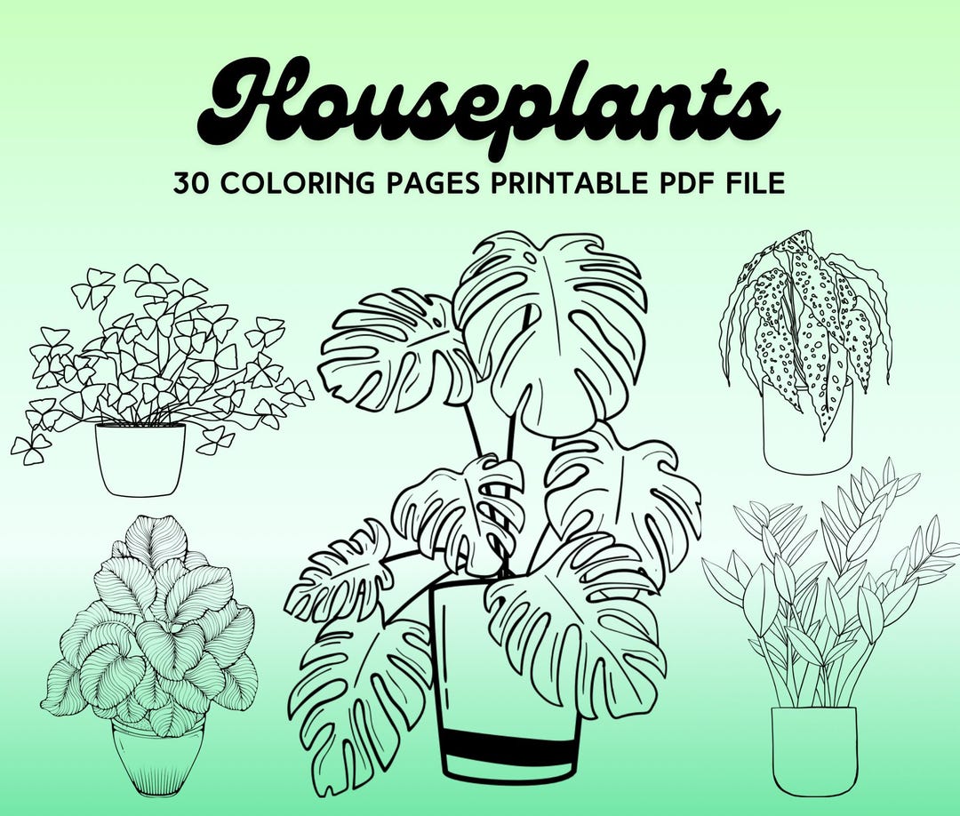 30 Houseplant Coloring Pages for Kids | Printable PDF | Cute Indoor ...