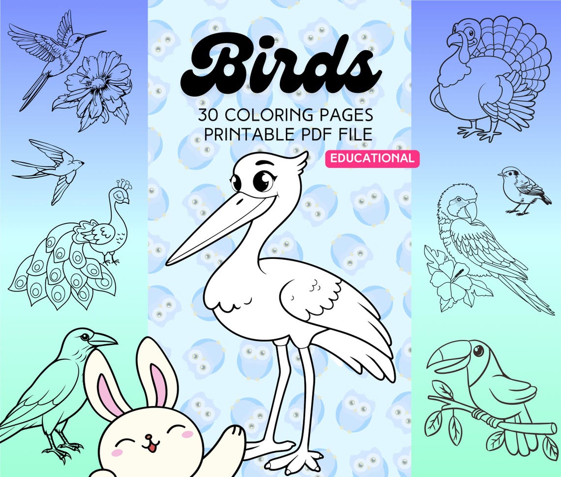 Bird Coloring Pages PDF Printable for Kids and Adults 30 Birds Coloring ...